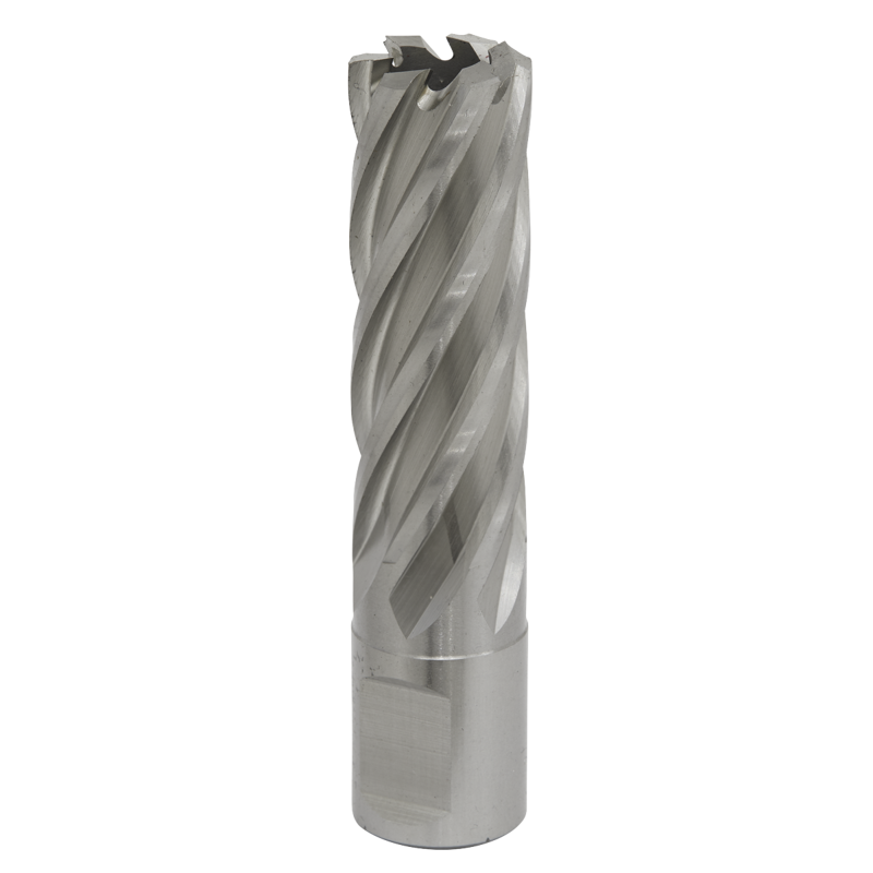 Sealey RBHSS19L Mag Drill Bit HSS 19mm - Cut Depth 50mm - BearingBoys