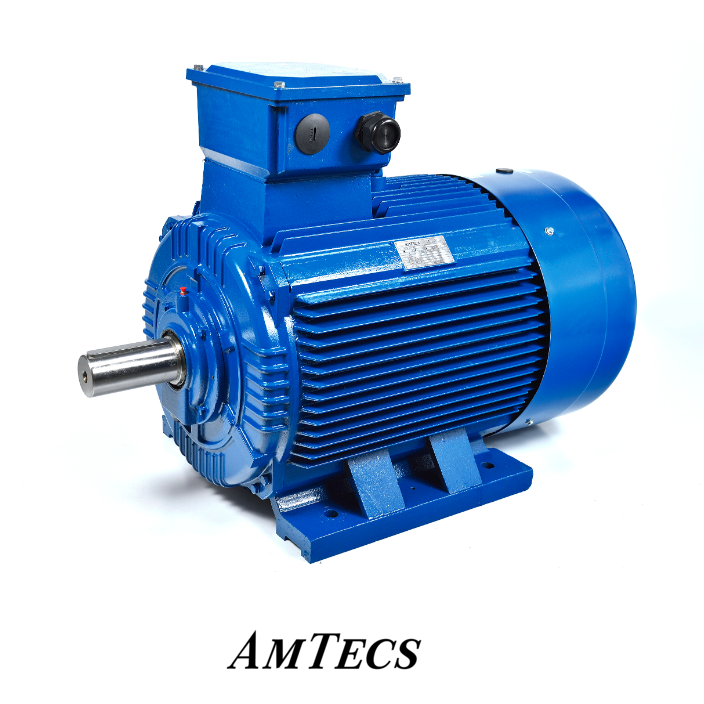 Amtecs IE3 22kW 3ph 2 Pole, B3 Foot Mount, 180M Frame, Cast Iron ...